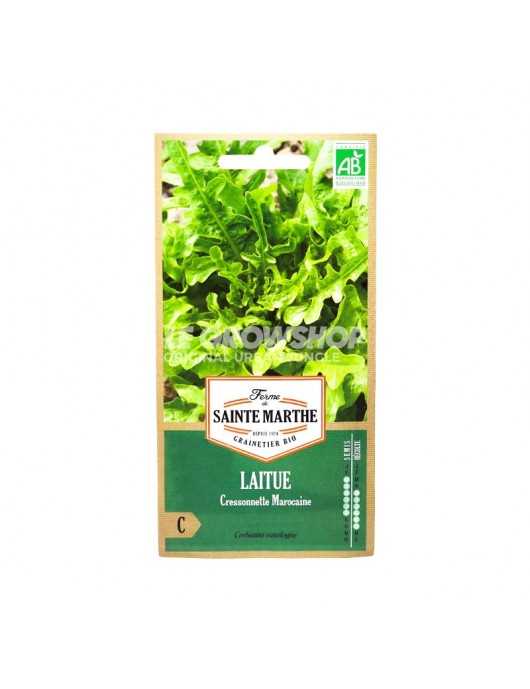 Semence biologique - Laitue Cressonnette Marocaine AB - La Ferme Sainte ...