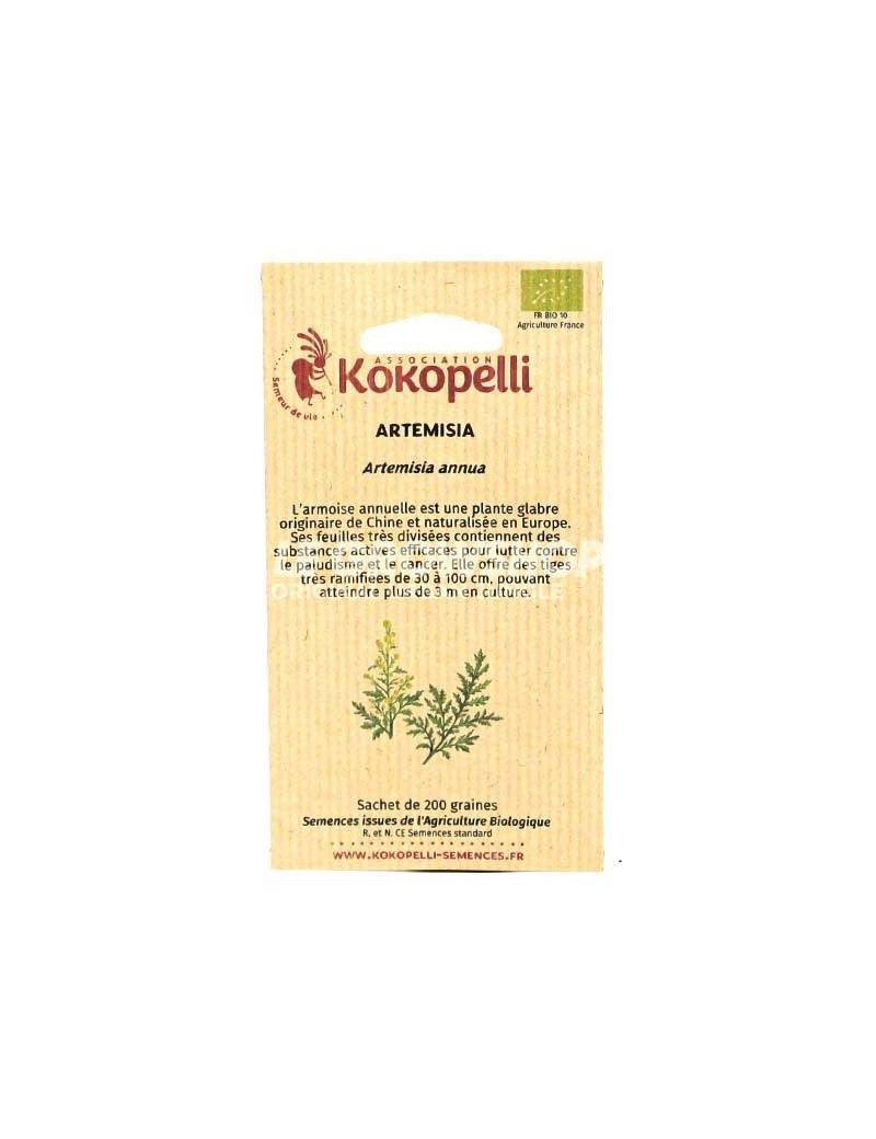 Kokopelli Artemisia Annua